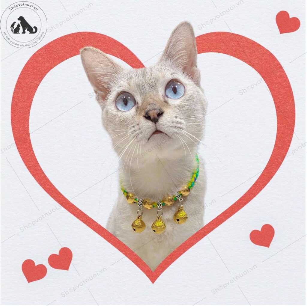 Vòng Cổ Dây Tết Cho Chó Mèo VC033 - Shopvatnuoi.vn