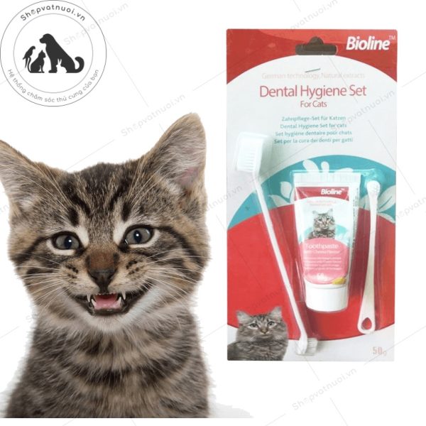 Bộ Đánh Răng Kem Đánh Răng Bàn Chải Đánh Răng Mèo Dental Hygiene Set ...