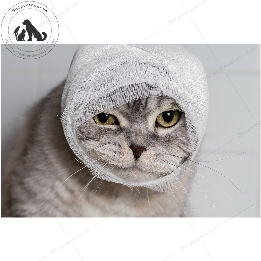 Băng Bó Bột Cho Vật Nuôi Vet-Lite - Shopvatnuoi.vn